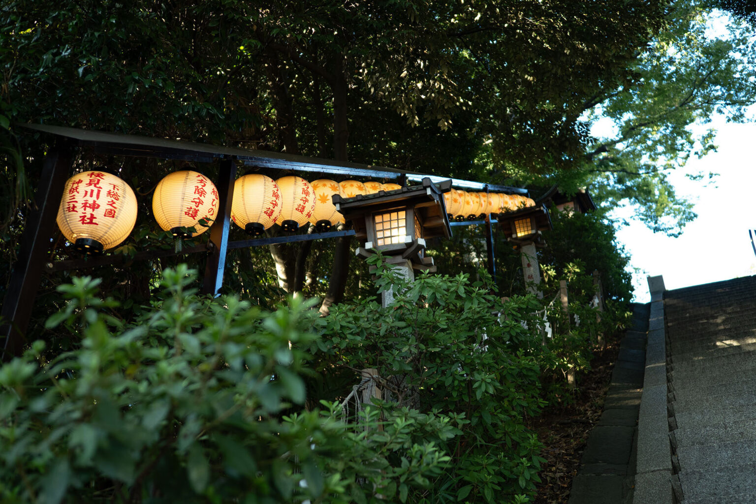 久しぶりのフォーサーズがすごく良くなっていて驚いた！OM SYSTEM OM-1レビュー | XTRA-BLOG