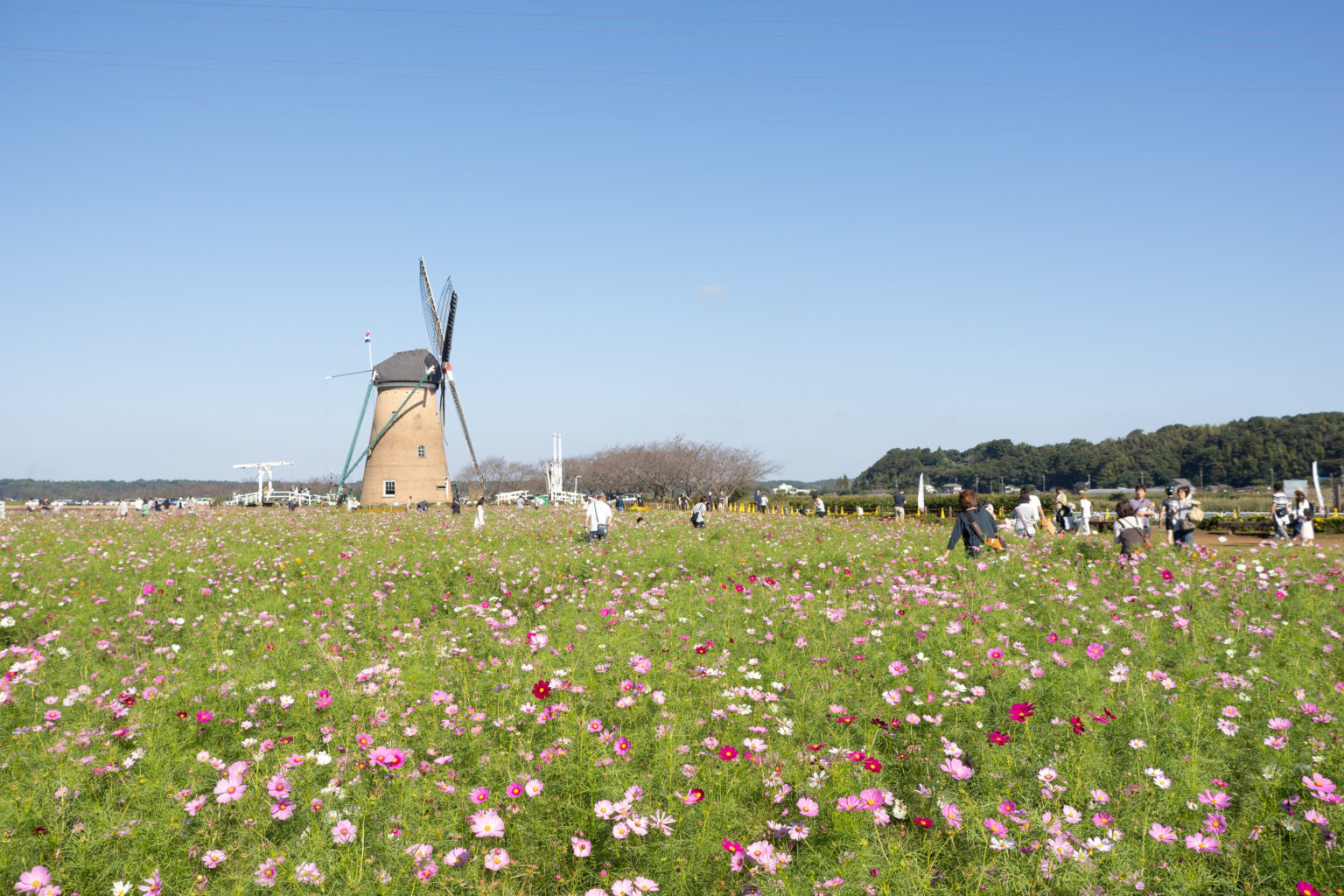 マイクロフォーサーズの今だからこそ復活させたい！OM-1で旧フォーサーズレンズ4本を使ってみた | XTRA-BLOG