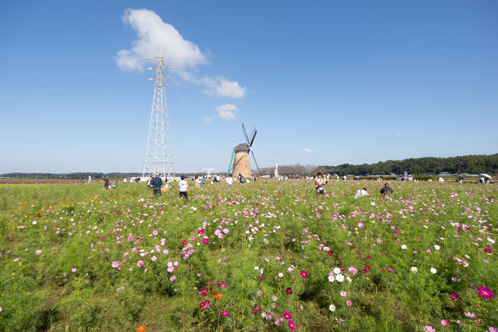 マイクロフォーサーズの今だからこそ復活させたい！OM-1で旧フォーサーズレンズ4本を使ってみた | XTRA-BLOG
